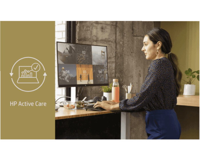 HP 1 Year Wolf Pro Security - 1-99 E-LTU (U05L7AAE) - Shop HP.com New ...